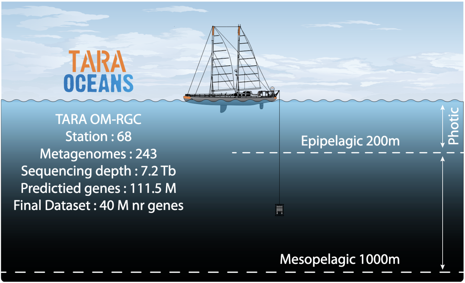 Prokaryotes – tara-oceans-science.org